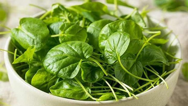 در غذاهایی که می‌خوریم چه سبزیجاتی به کار رفته است؟! - مجله اکالا