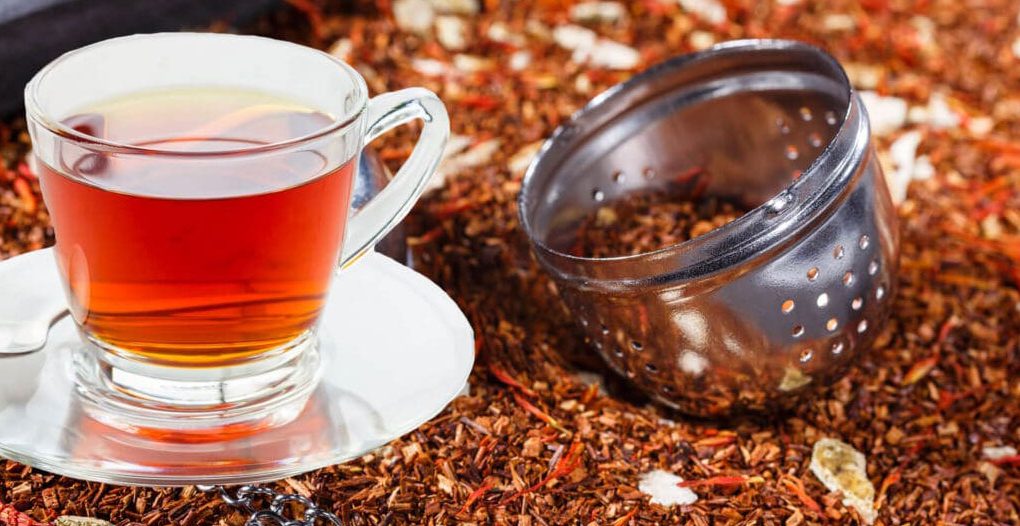 چای رویبوس بوته چای سرخ و 5 فایده آن مجله اکالا