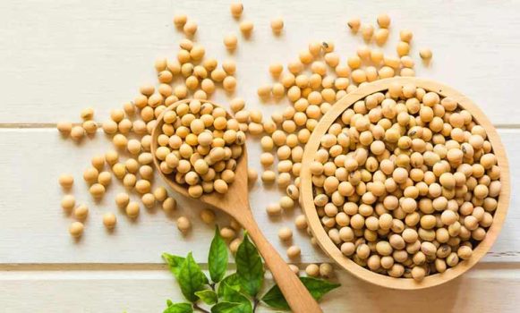 4 نکته که در روش صحیح نگهداری سویا باید بدانید! - مجله اکالا