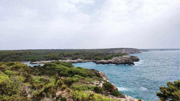 در این جزیره عجیب، صدای گریه می‌آید - مجله اکالا